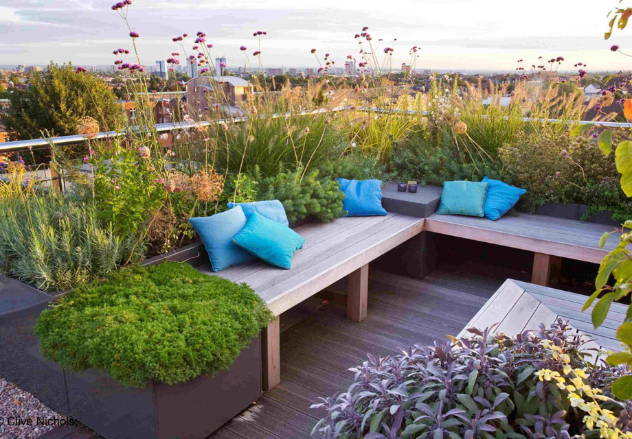 Rooftop Ideas