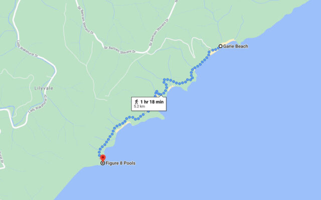 Figure 8 Rock Pools: Why They're Everywhere Right Now