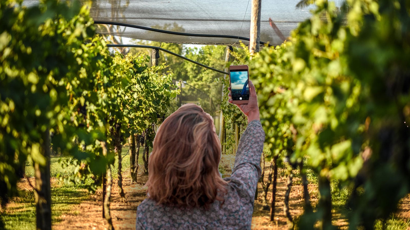 Australian Influencer Faces Backlash After Awkward Request to Winery ...