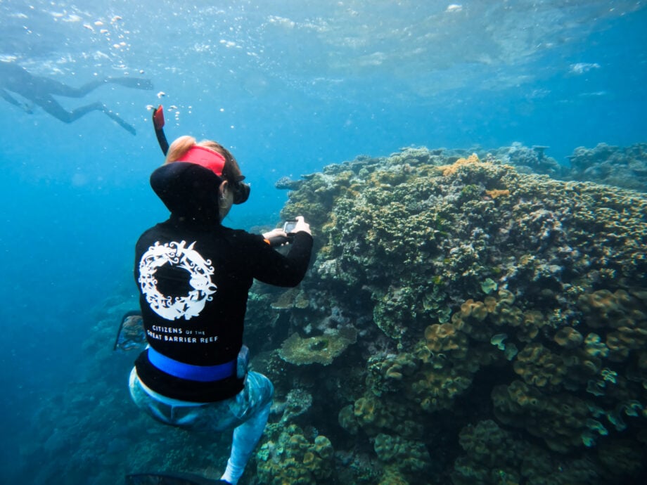 I Visited The Great Barrier Reef Before It Died – And You Should Too