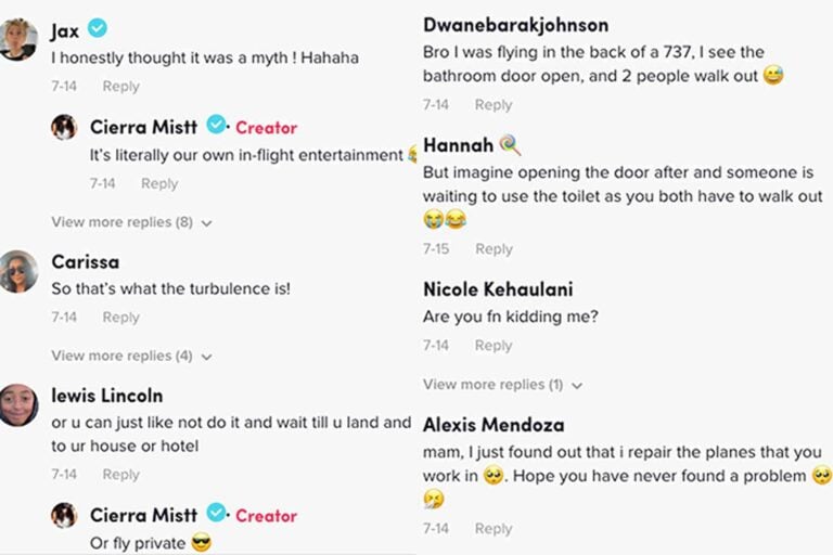 Online Reactions Mixed to Flight Attendant Cierra Mistt's Mile High ...