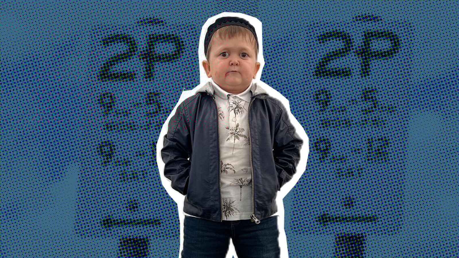 Hasbulla Fined for Parking Violation During Melbourne Shopping Spree