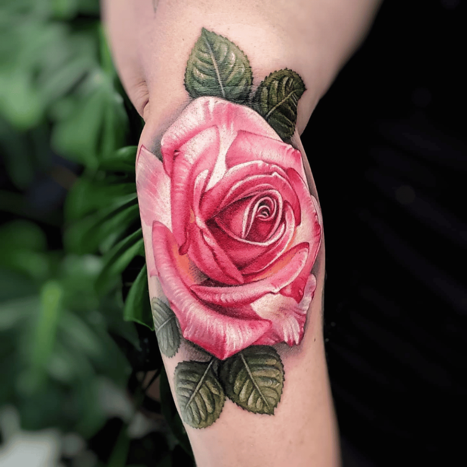 Realistic Pink Roses Tattoo