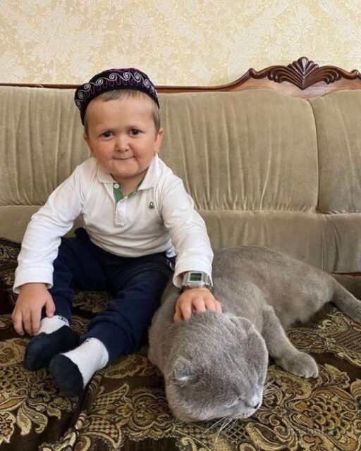 Hasbulla Arrested For Joyriding After Wild Russian Wedding - DMARGE