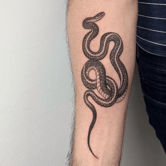 What Does A Snake Tattoo Mean? – Best men's cologne – buying guide