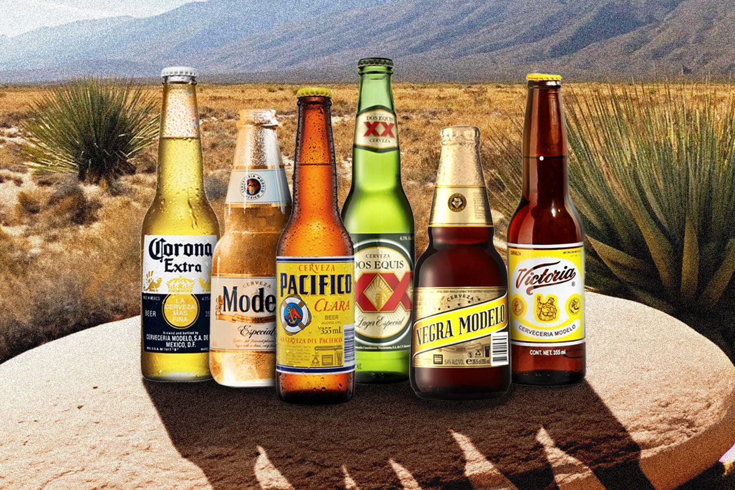 Our Favourite Mexican Beer Brands And Where To Buy Them - DMARGE