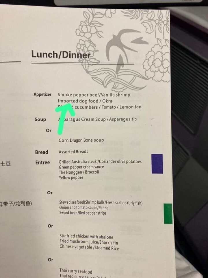 Chinese Airline Serves 'Dog Food' To Business Class Passengers