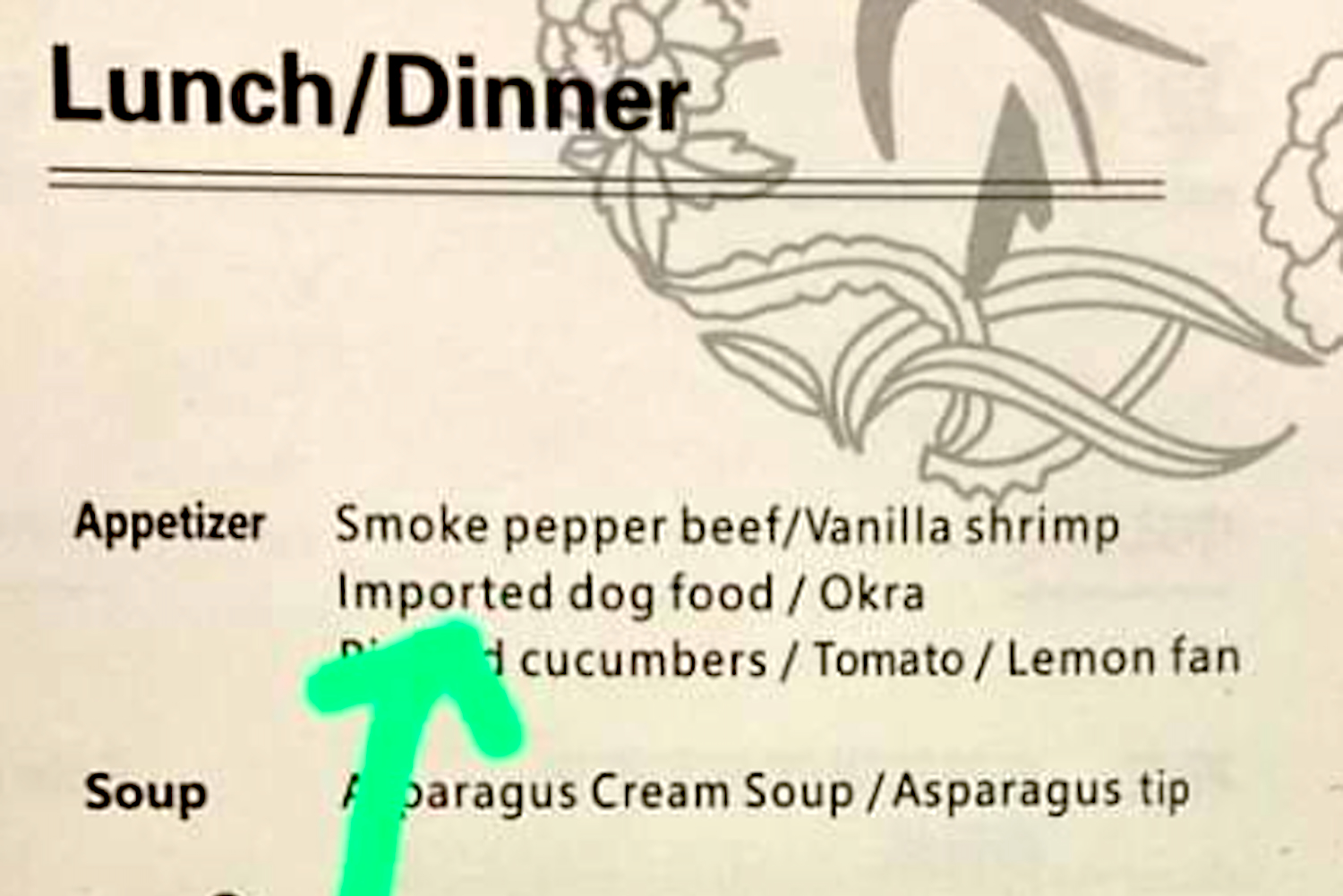 Chinese Airline Serves 'Dog Food' To Business Class Passengers