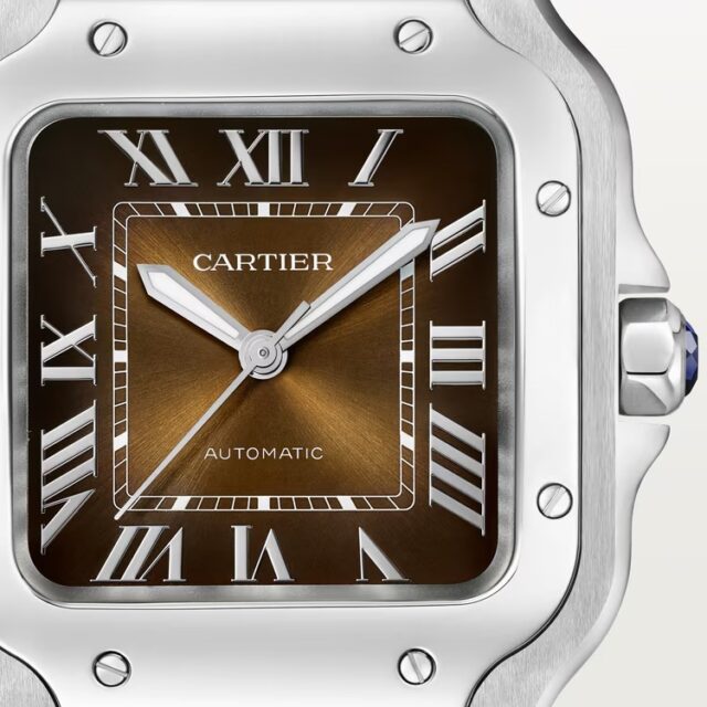 Cartier Continues To Defy Time With The Enduring Appeal Of The Santos ...